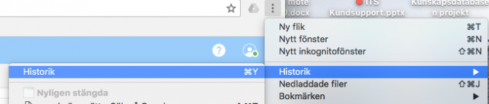 Rensa cache, cookies och historik i din webbläsare – Manual
