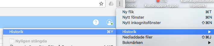 Rensa cache, cookies och historik i din webbläsare – Manual
